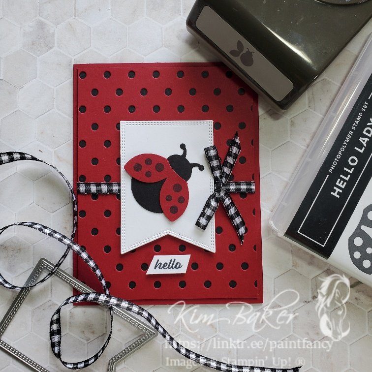 Dots & Spots Ladybug Card - Horsin' Around Stamping