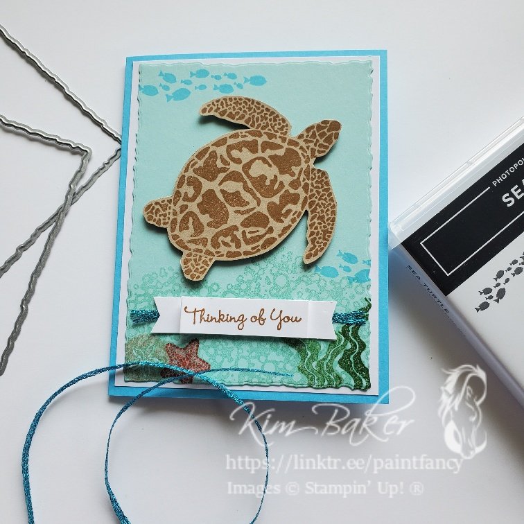 Simple Sea Turtle Card - Horsin' Around Stamping